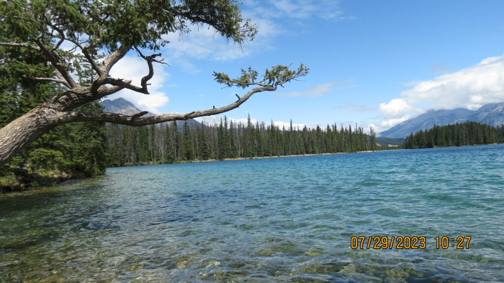 Jasper National Park: The Canadian Rockies Part 2 - Victoria Marie Lees